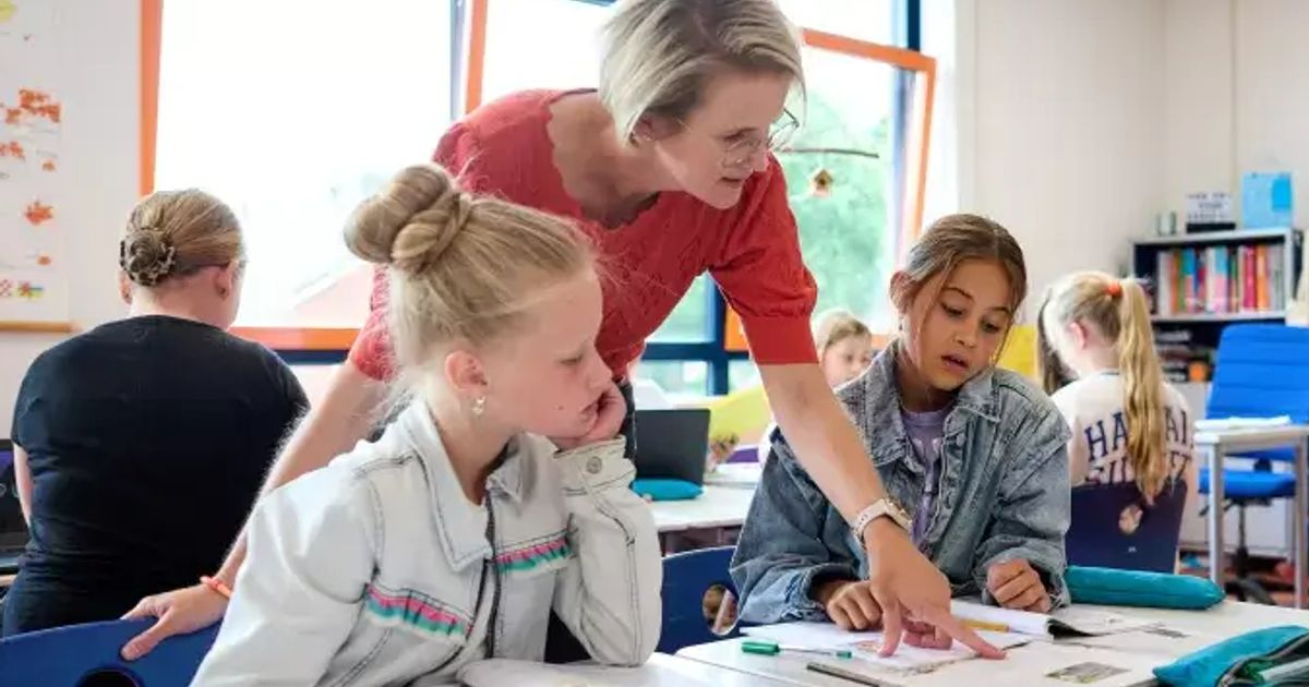 Het beroep van leraar vraagt vakmanschap | Masterplan basisvaardigheden